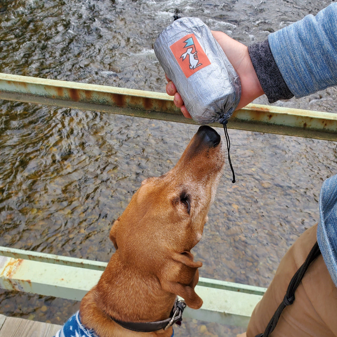 Flagship Shell – High Tail Designs